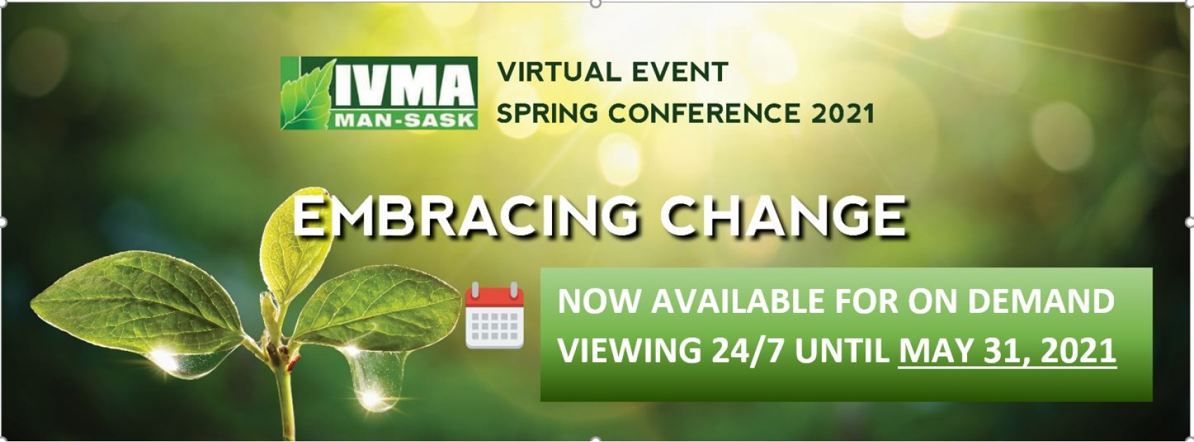 IVMA Man/SK - Embracing Change